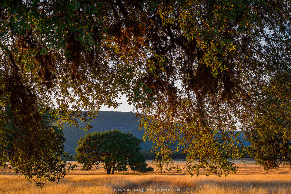 Texas Hill Country Region Images | Jason Merlo Photography