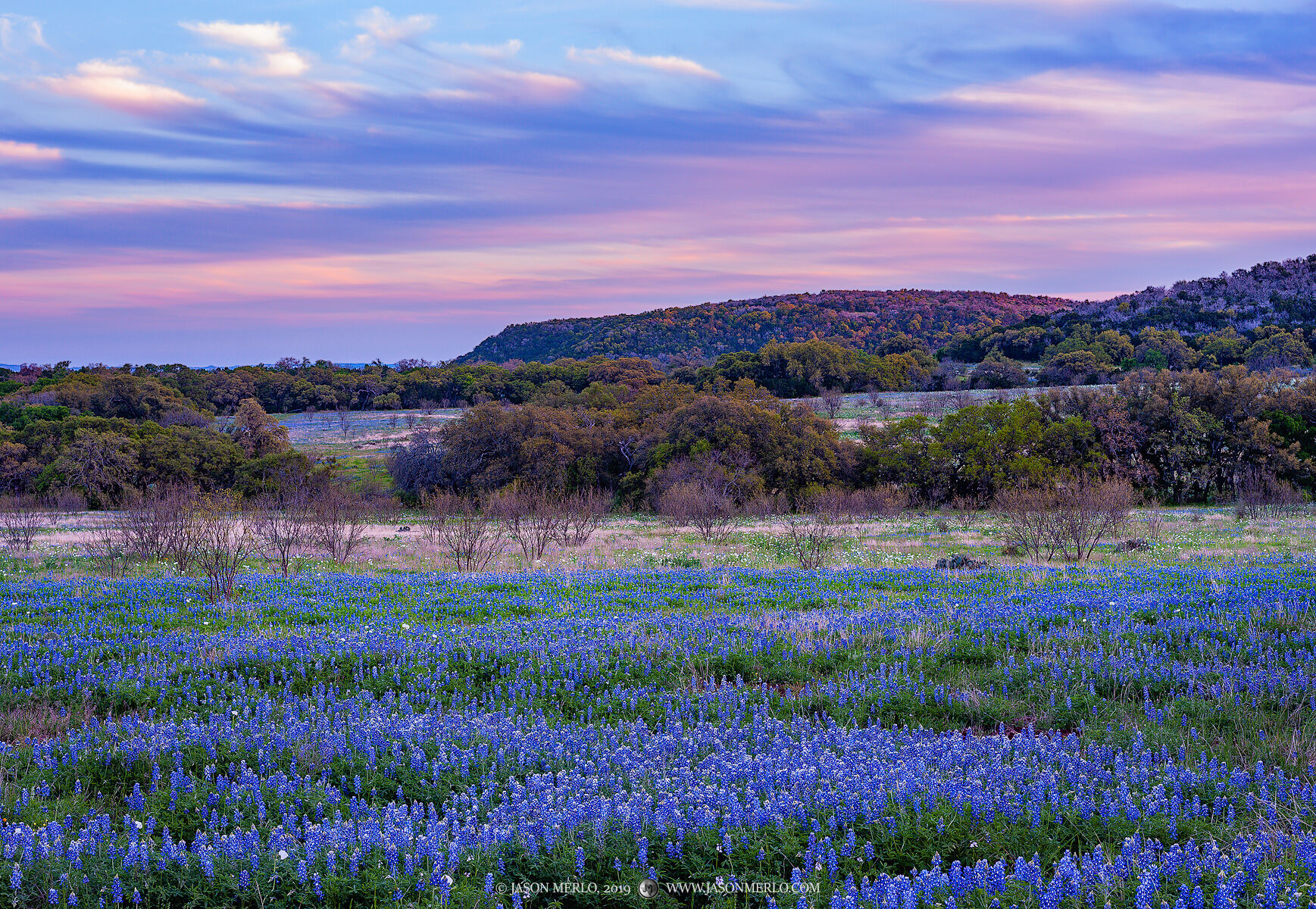 2019040103, Bluebonnets at dusk | Llano County - Texas Hill Country ...